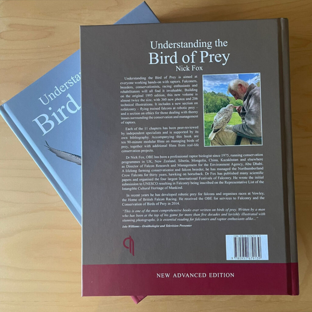 Understanding the Bird of Prey (New Advanced Version) | International ...